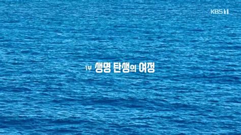 생명의 바다 지중해 6부작 저장 파일썬