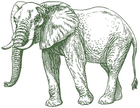 Why Tembo Hospitality Group Tembo Hospitality Group