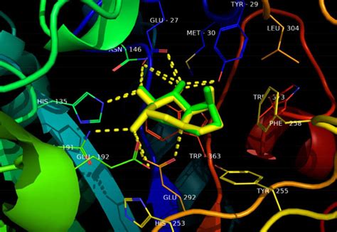 Overlapping Castanospermine Ligand From 1 3 B Glucan Synthase With A Download Scientific