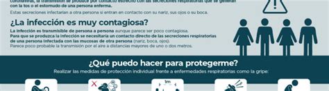 Medidas De Protección Y Prevención Ante El Covid 19 Excmo