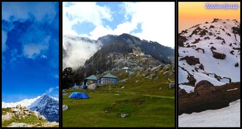 Top Things To Do In Dharamshala Teatimegossip
