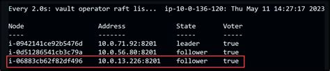 Vault Raft Cluster High Availability Test In AWS TeKanAid