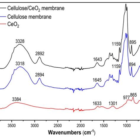 A Celluloseceo2 Membrane Surface Structure And B Mapping Of