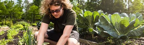 Bachelor Of Science In Environmental Engineering