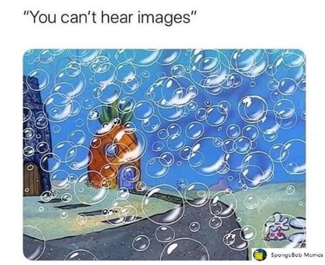 Spongebob Bubbles Meme 🫧 R Spongebobmemes