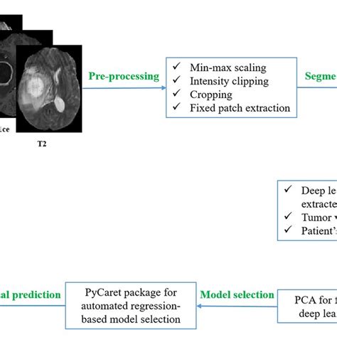 Overview Of Complete Survival Prediction Pipeline Download Scientific
