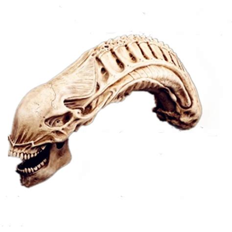 70cm Xenomorph Alien Skull Model Halloween Decoration Skeleton Model