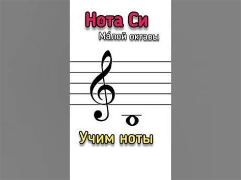 Нота Си малой октавы 🎹 #сольфеджио #ноты #пианинодляначинающих - YouTube