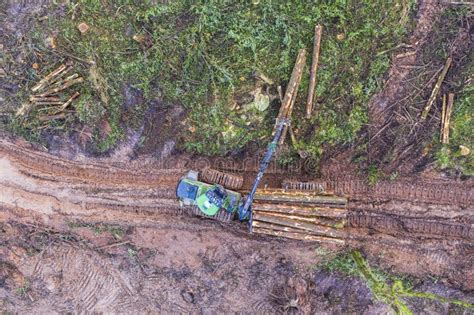 Commercial Logging Machine Collects Cut Tree Trunks Aerial Overhead