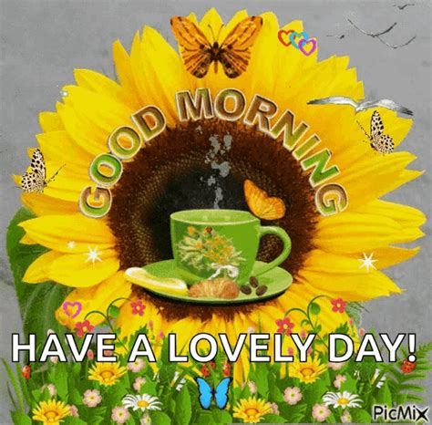 Flower Good Morning Gif Flower Good Morning Gm Discover Share Gifs