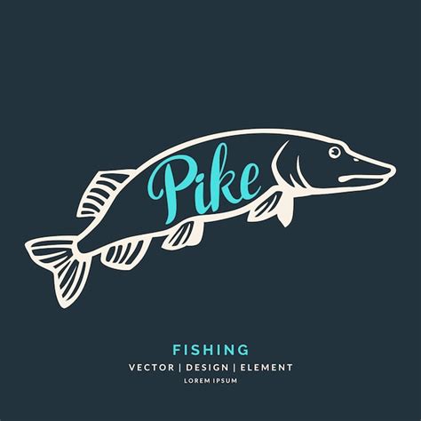 Premium Vector Modern Hand Drawn Lettering Phrase
