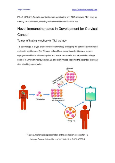 Ppt Novel Therapies For Cervical Cancer Powerpoint Presentation Free