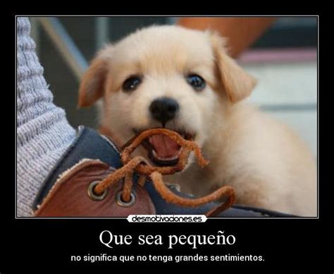 Que Sea Peque O Desmotivaciones