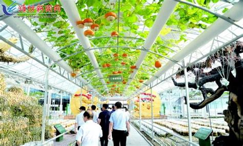 培育平台载体推动乡村振兴 潍坊日报数字报刊
