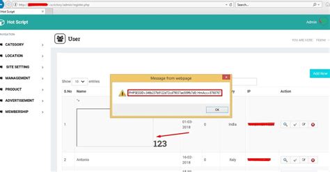 stored xss vulnerability in hot scripts clone script classified version