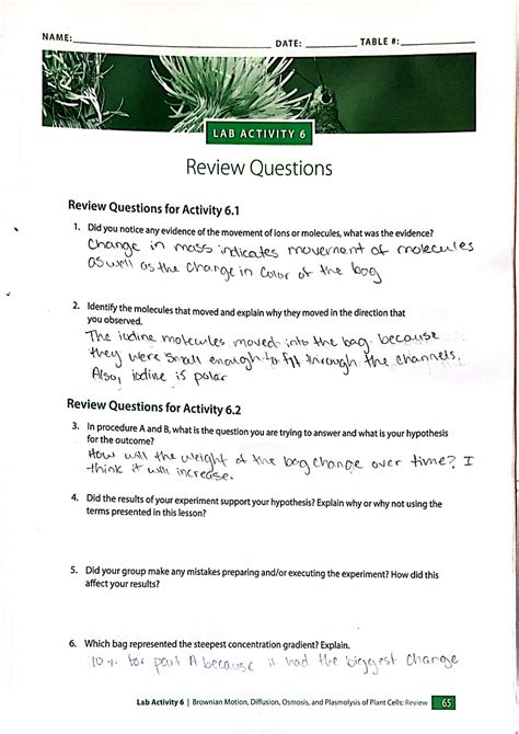 Lab Activity 6 Fgcu Name Date Table Lab Activity 6 Review