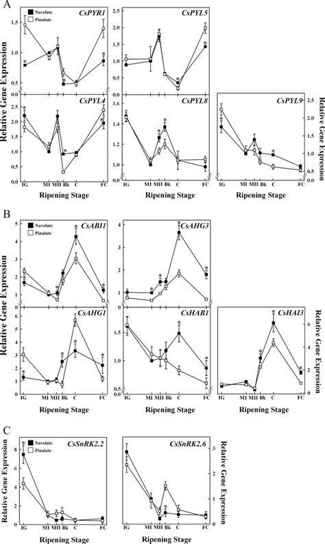 Relative Gene Expression Analysis By Qrt Pcr Of Citrus Pyrpylrcar Aba