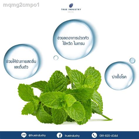 True Industry น้ำมันหอมระเหย 100 กลิ่นเปปเปอร์มิ้นต์ สะระแหน่ Pure
