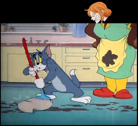 Namis Role In Luffys Toon Force Rmemepiece