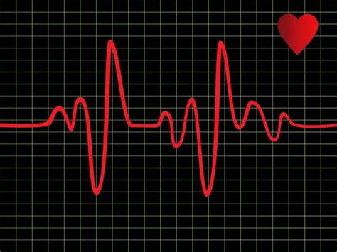 Heart Beat Monitor Stock Vector Image By Soleilc