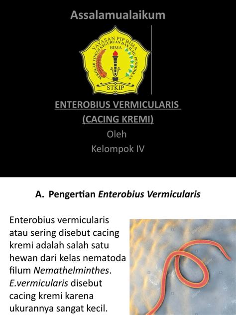 Cacing Kremi Pdf Griya And Taman Sains And Matematika