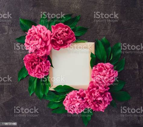 흰색 빈 캔버스와 검은 돌 배경에 녹색 잎과 분홍색 모란 꽃 나무 사진 프레임 구성 복사 공간이 있는 아트웍 모형 빈티지 토닝