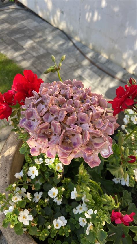 Hand Made Ceramic Hydrangea Garden Ornament Etsy