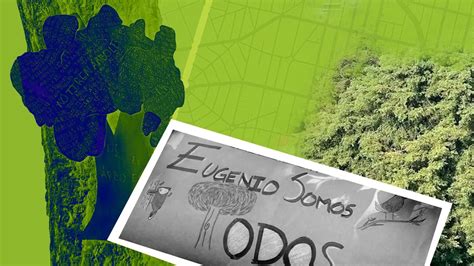 Dónde está el árbol Eugenio de años que iba a ser talado pero ahora es patrimonio