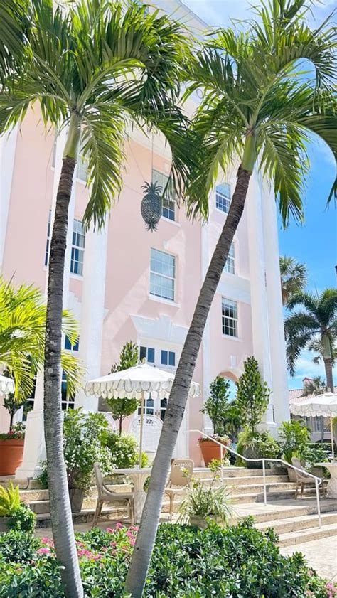 So Susie Susie Wright Sosusiewright Profile Pinterest