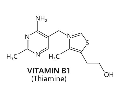 91 Thiamine Vector Images Depositphotos
