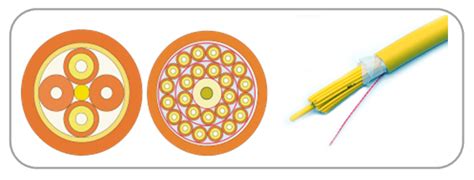 F Breakout Patch Cord