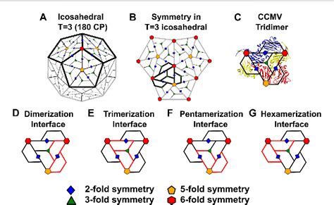 Figure 1 From The Diversity Of Protein Protein Interaction Interfaces