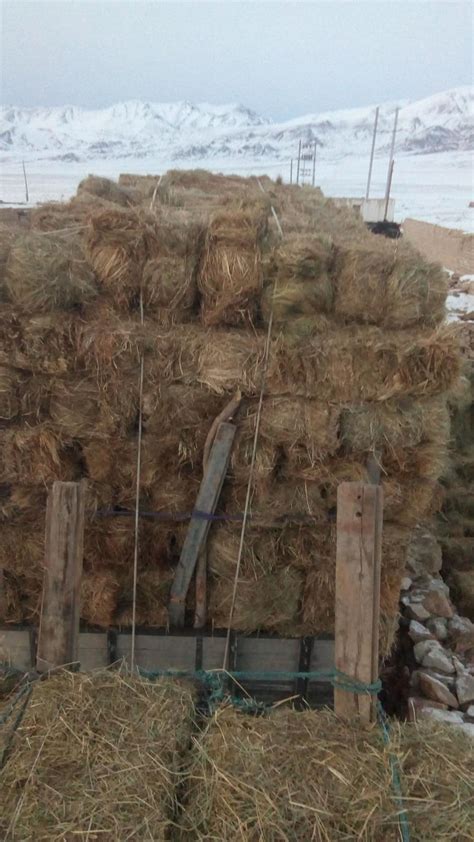 2018 ОНД ХИЙГДСЭН АЖЛУУД