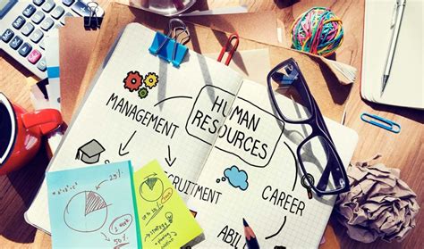 Next Step Startup Hiring Kaizen Firm