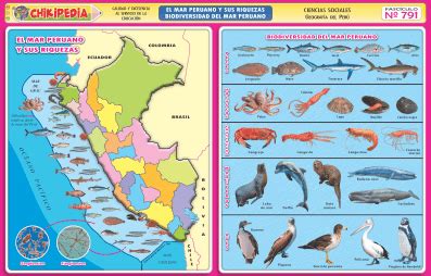 N° 791 El Mar Peruano Y Sus Riquezas Biodiversidad Del Mar Peruano