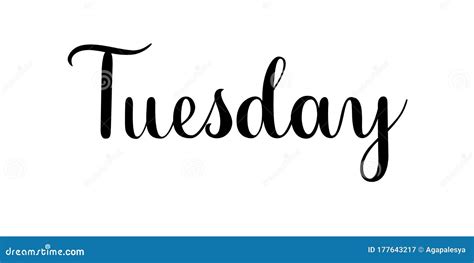 Handwritten Tuesday Vector Text Element Isolated On White Background