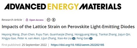 纳米人 Adv Energy Mater：晶格应变对钙钛矿发光二极管的影响