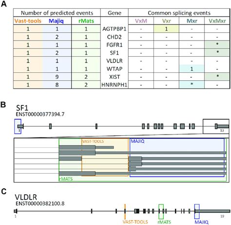 analysis of genes with alternative splicing events predicted to be