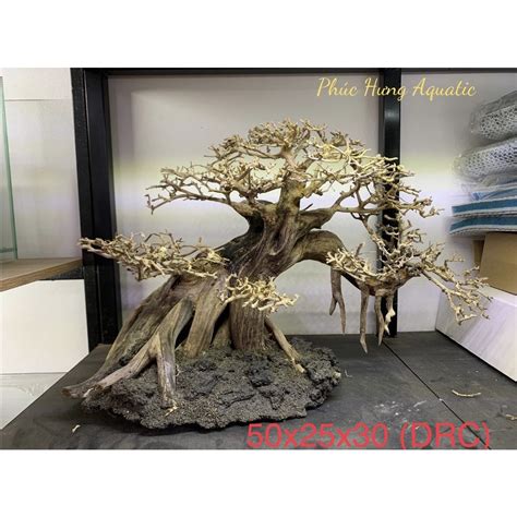 Layout Bể Thủy Sinh Shopee Việt Nam