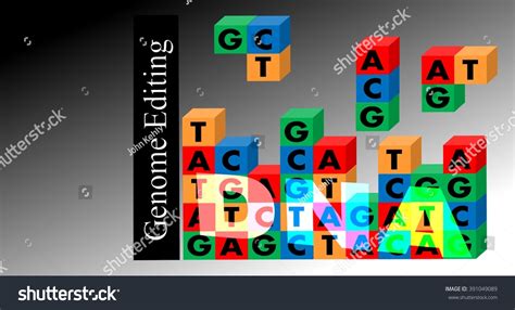 10 Crispr Chips Royalty Free Photos And Stock Images Shutterstock
