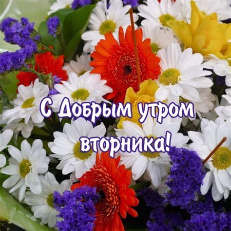 Красивые картинки с Добрым утром Вторника
