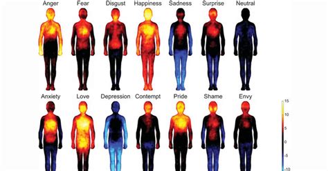 El Calor Del Cuerpo Según Nuestras Emociones Infobae