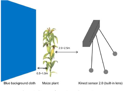 Figure From A Method Of Crop Seedling Plant Segmentation On Edge Information Fusion Model