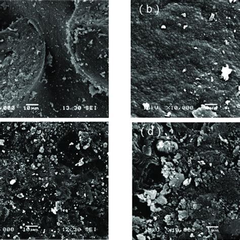 Effect Of Reaction Time On The Coke Solution Loss Reaction Download