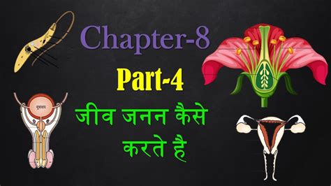 Class 10 Chapter 8 Part 4 Biology जीव जनन कैसे करते है Youtube