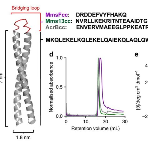 Design And Characterisation Of The Coiled Coil Proteins A Tem Image Of