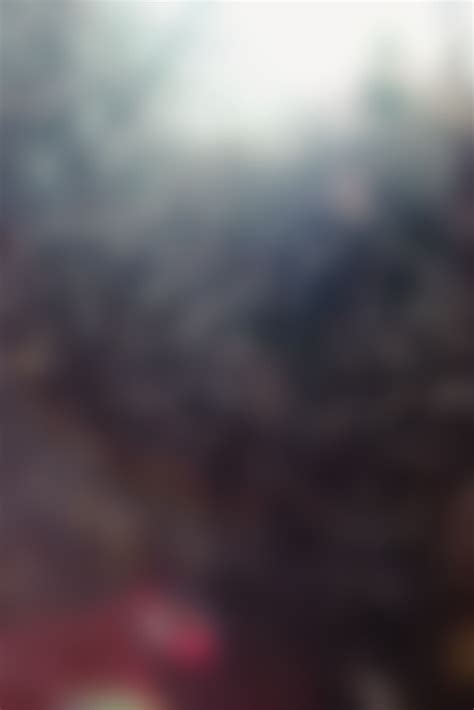 April Walks Part Iv Natalie Ina Boosty