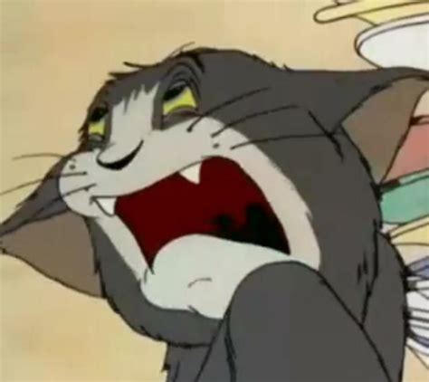 Top 50 Hình ảnh Tom And Jerry Meme Cực Troll Cười Vỡ Bụng Yody