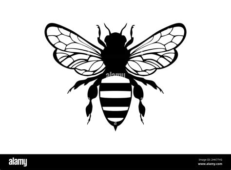 Flying Bee Silhouette