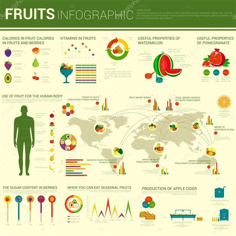 Fruits Infographic Design With Different Charts Stock Vector Image By